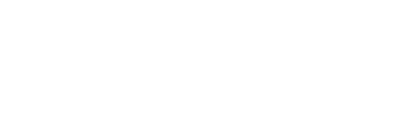 Behemoth 600: made possible by FASTFLOW Cycling Technology